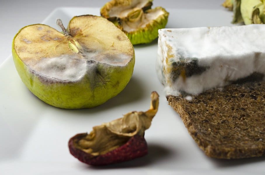 Da li je opasno s hrane ukloniti buđ i potom jesti? - Tuzla L!VE